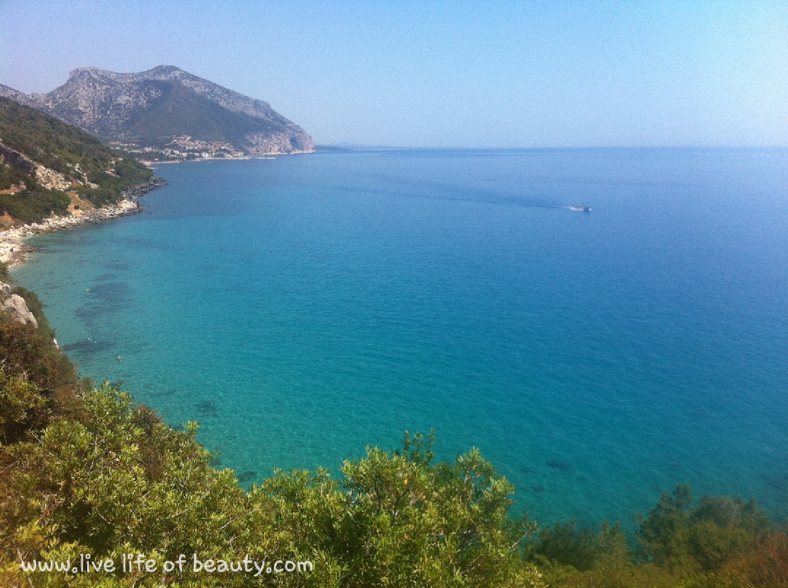 HOW TO CREATE A MAGNIFICENT TREE OF LIFE WITH YOUR MIND. | ENTWICKLE ...